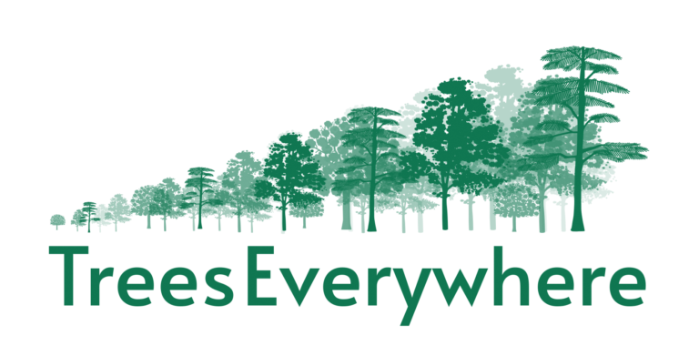 Trees-Everywhere - Entrepreneurs Pour La Planète